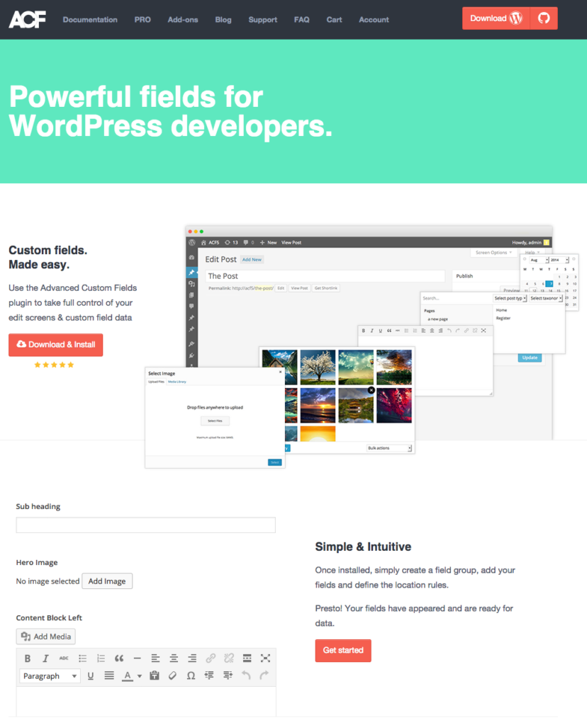 Advanced Custom Fields Pro 6.7.0.2 • $45