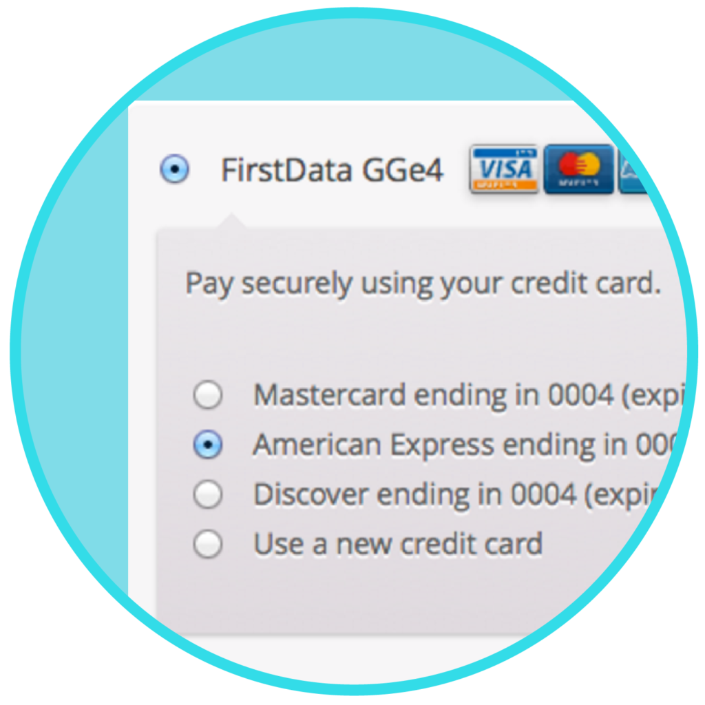 WooCommerce Firstdata Gateway Plugin · Download for $56